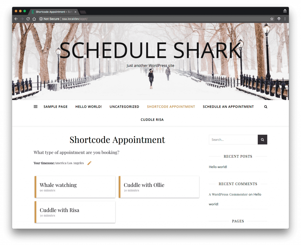 Simply Schedule Appointments Surprise Feature: Styles! - Simply Schedule Appointments