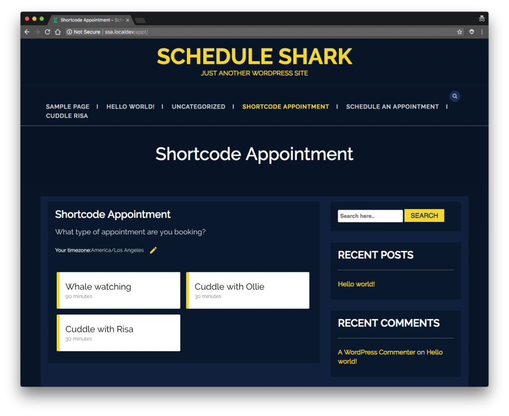 Simply Schedule Appointments Surprise Feature: Styles! - Simply Schedule Appointments