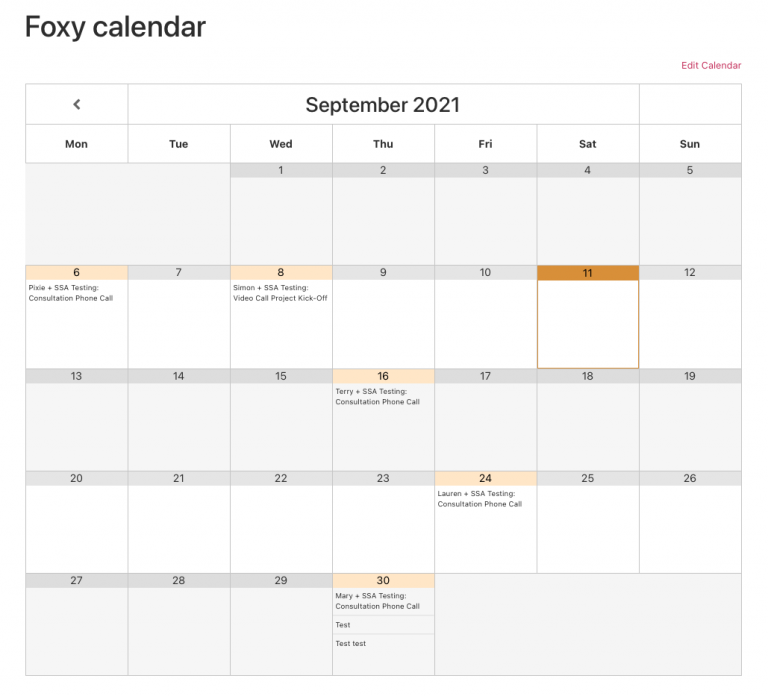 Simple Calendar Setup - Simply Schedule Appointments